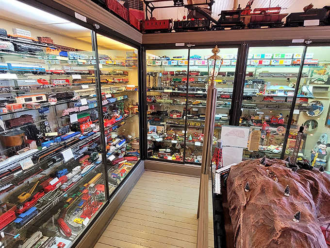 Row after row of model trains, each one a tiny masterpiece that somehow makes adulthood feel completely optional.