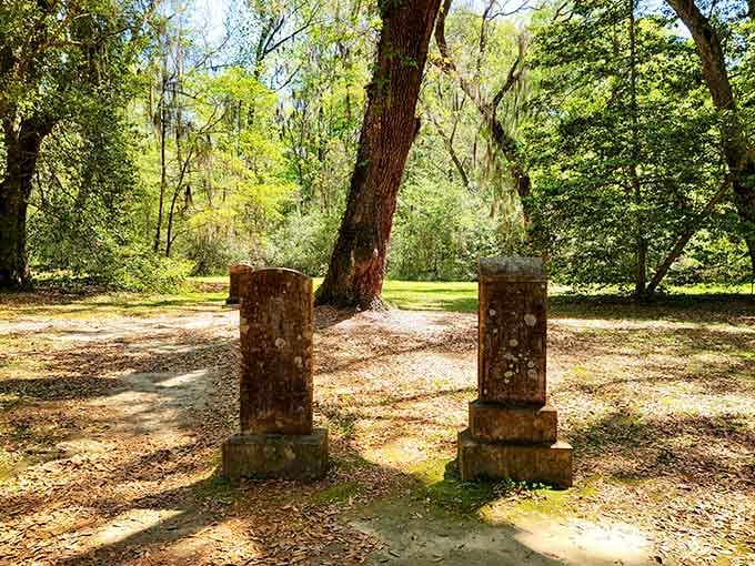 Two weathered gravestones stand quietly in dappled light, proof that even forgotten corners of history have something to say.