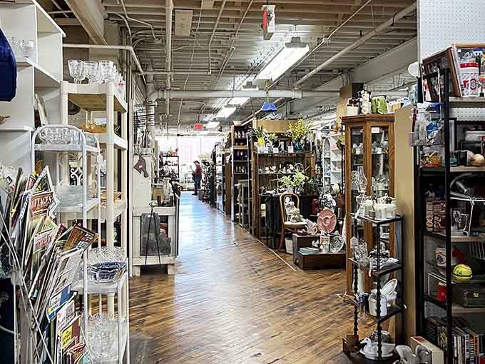 Aisles so long and full, you'll need a snack and a game plan before diving in.