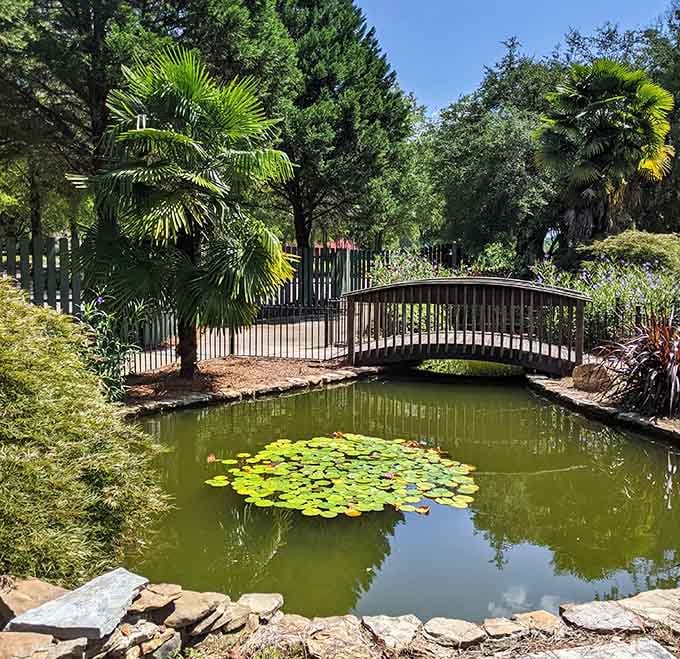 Edisto Memorial Gardens has lily ponds and wooden bridges that make you forget your phone exists entirely.