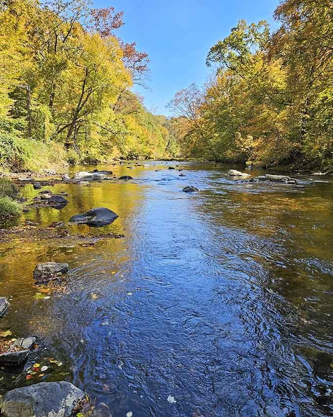 Deer Creek in autumn looks like someone spilled a box of crayons into the most beautiful watercolor painting.