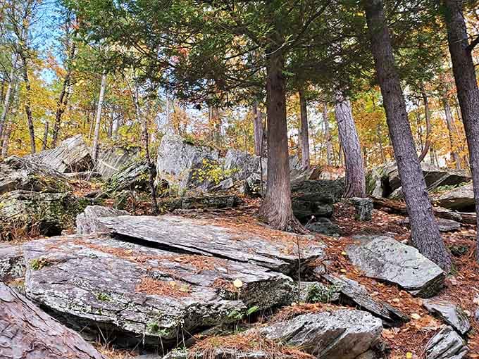 Ancient rock slabs scattered like nature's own furniture, arranged by a decorator with billions of years of experience.