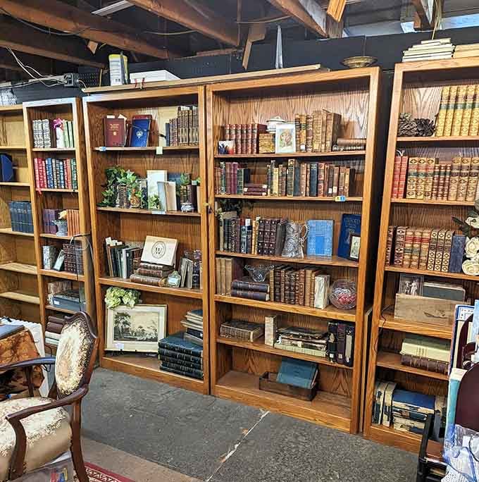Floor-to-ceiling bookshelves filled with leather-bound volumes make every bibliophile's heart beat just a little faster.