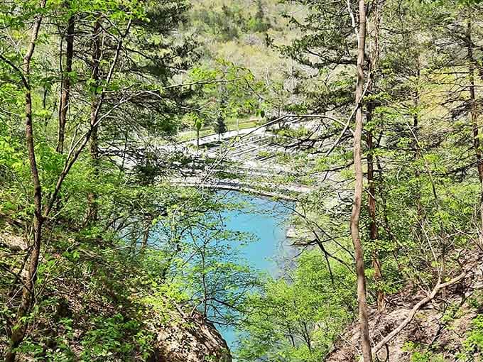 From up here, that turquoise pool looks like nature dropped a jewel into the Ozark hills and forgot about it.