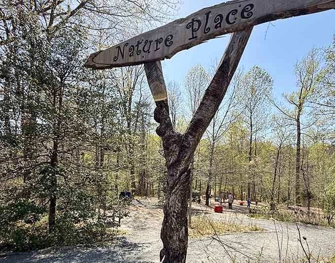 Two branches, one sign, and suddenly you feel like you've been invited somewhere truly special.