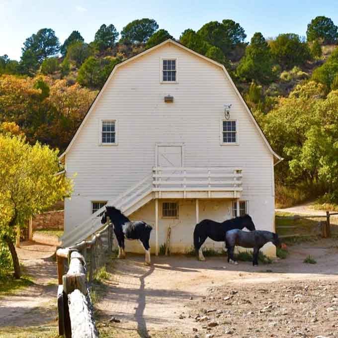 Three horses, one magnificent barn, and a mountain backdrop that makes every other view feel underdressed.