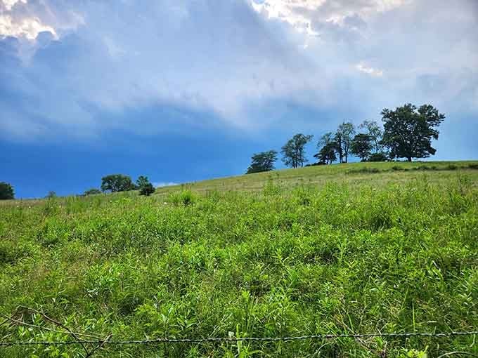 Rolling green hills crowned with trees against a dramatic sky, proof that Ohio's countryside never got the memo about being ordinary.