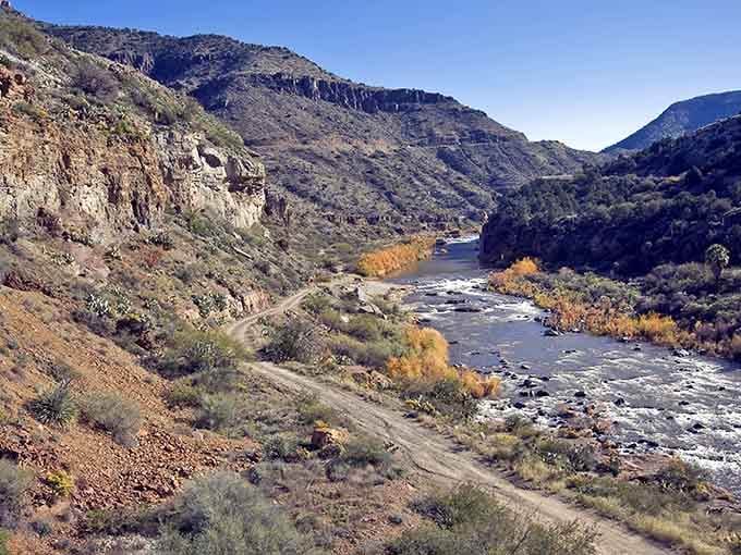 Golden cottonwoods frame the Salt River as it carves through ancient rock, painting autumn's masterpiece in the canyon below.