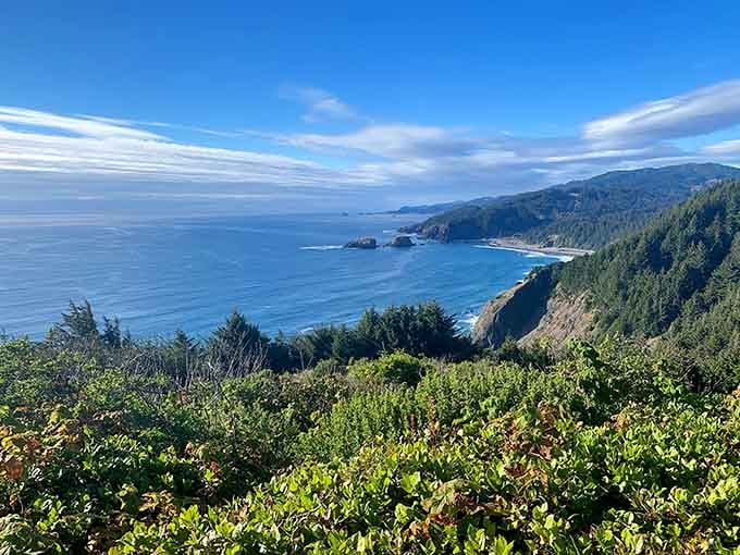 That moment you realize Oregon's backyard looks suspiciously better than most people's vacation destinations.