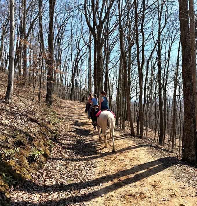 When horses pass you on the trail, just remember they've been doing this longer than GPS has existed.