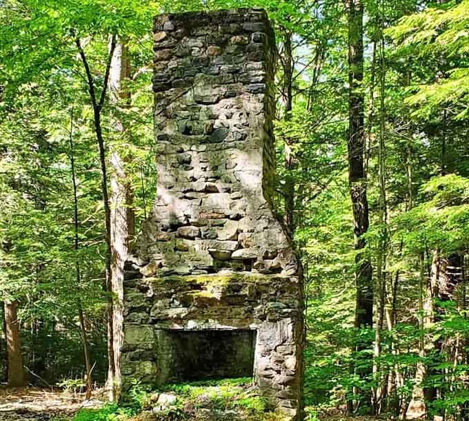 A stone chimney standing alone in the woods. History has a funny way of refusing to disappear quietly.