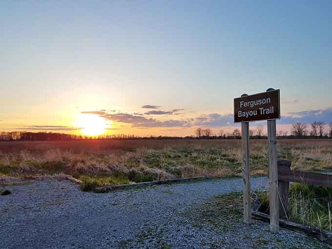 The Ferguson Bayou Trail sign stands guard as the sky melts into pure golden fire.