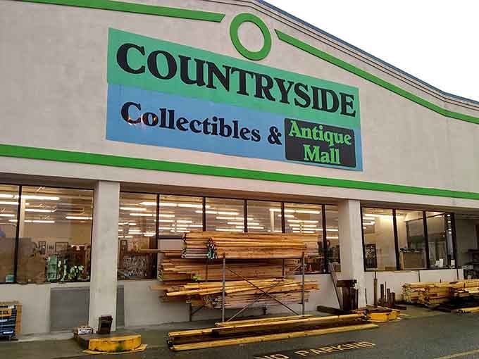 Countryside Collectibles and Antique Mall: where your next great find is hiding behind someone else's forgotten treasure.