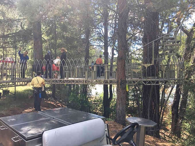 Suspension bridges in the trees where your childhood treehouse dreams meet your adult need for safety equipment.