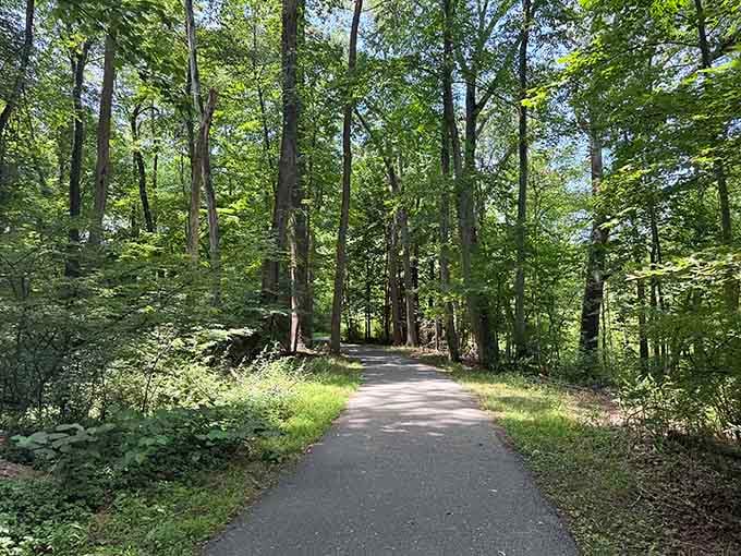 A paved path through tall trees that basically says, "Come on, it's not that far." It's right.