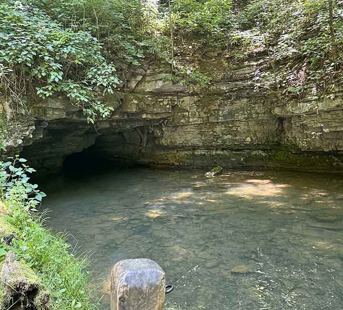 Water pours from a limestone cave entrance into a crystal pool, nature's own dramatic reveal.