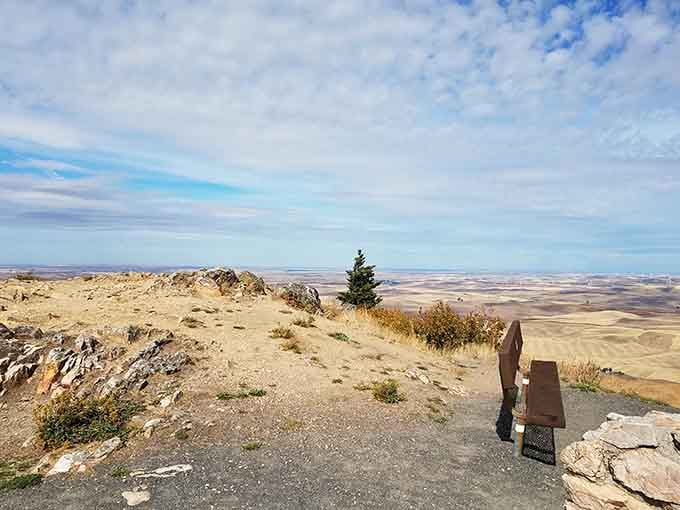 This quiet resting spot offers front-row seats to one of nature's most underrated shows in Eastern Washington.