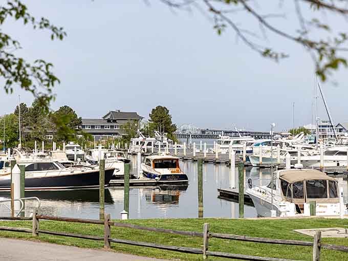 Boats lined up at Bay Bridge Marina, each one quietly judging your decision to drive past this place for years.