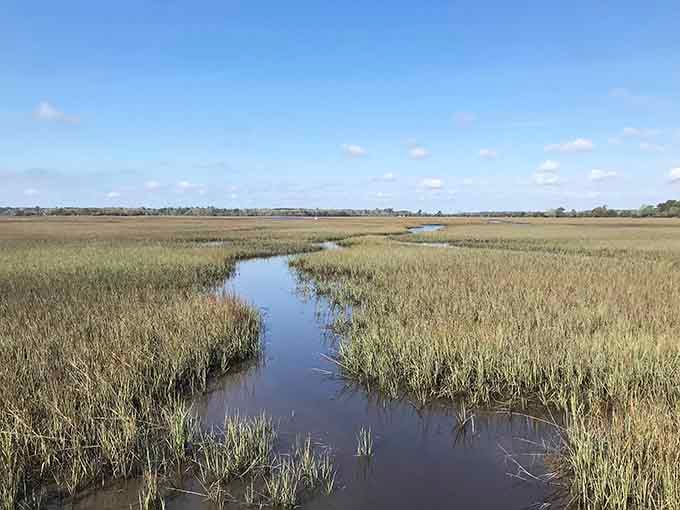That winding tidal creek through the marsh is nature's own road map, and it goes somewhere beautiful.