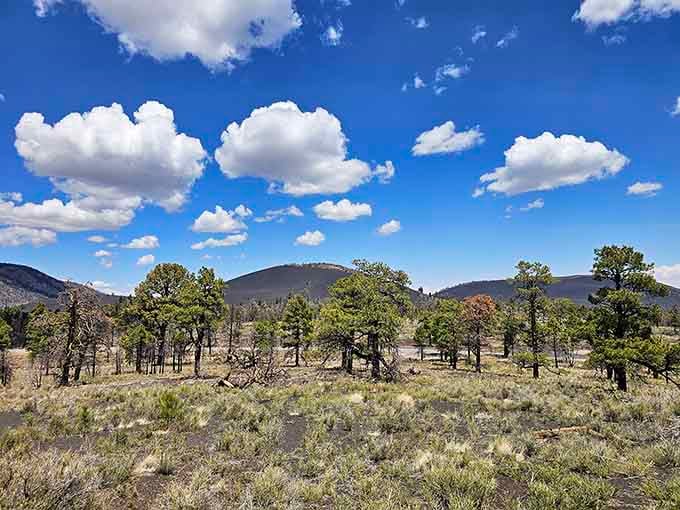 Fluffy clouds, dark volcanic slopes, and stubborn pines growing through ancient lava. Arizona doesn't do subtle.