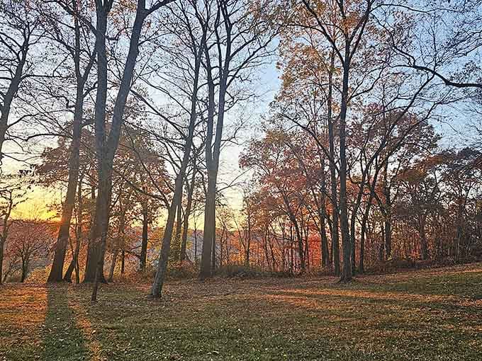 Sunsets here filter through the trees like nature's own stained glass window. No ticket required.