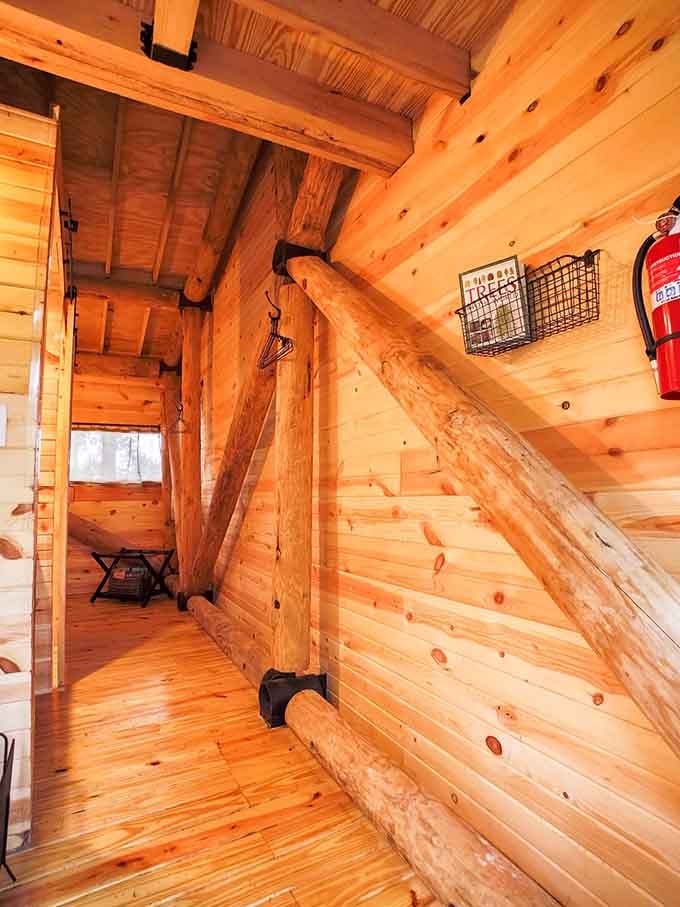 Real log beams cutting through the hallway like nature decided to help with the architecture.