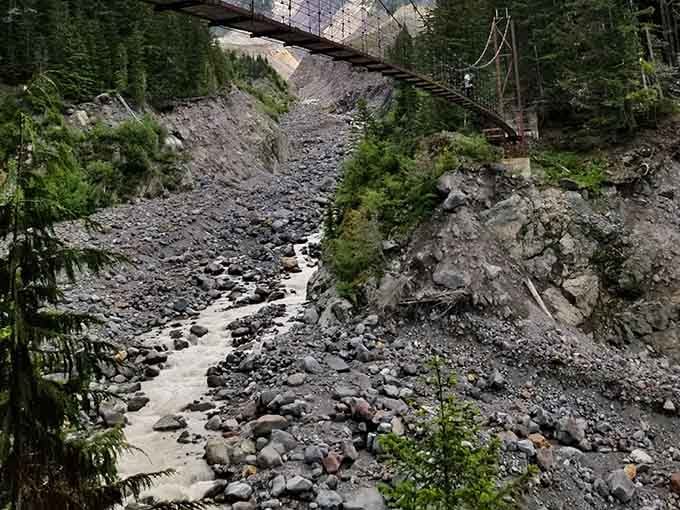 Tahoma Creek doesn't mess around, carving through rock and stone like it's got somewhere important to be.