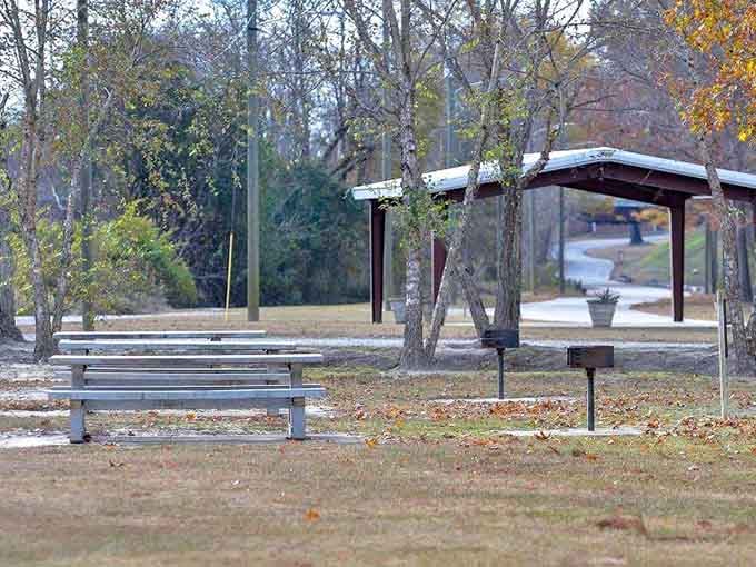 Town Common's picnic shelters have witnessed more family gatherings than your aunt's Facebook page has photos.