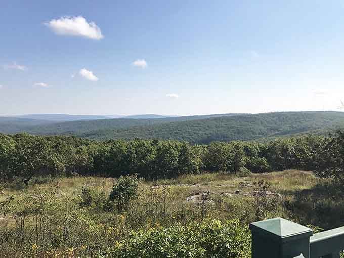 Standing at the highest point in Missouri feels exactly as good as it sounds, maybe even better.