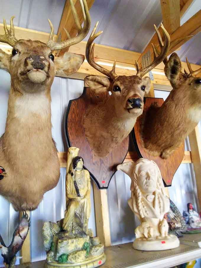 Three deer mounts keeping a watchful eye over the booth, judging your bargaining skills since forever.