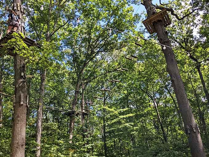 Up in the canopy, the only thing between you and the sky is a whole lot of courage.