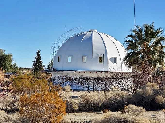 From this angle, the dome looks less like a building and more like a spacecraft that decided to stay awhile.
