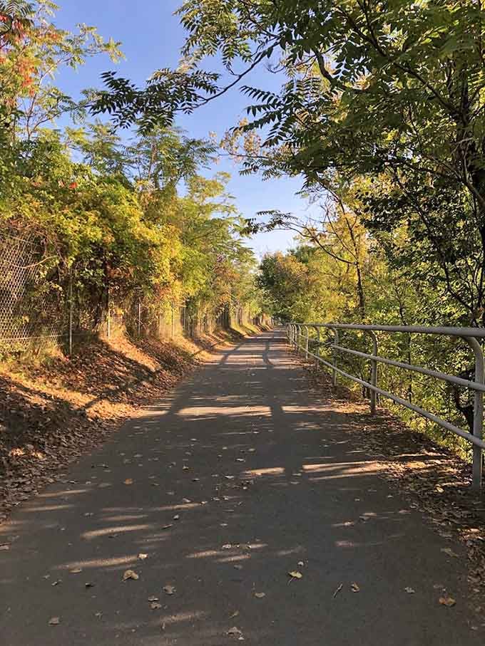 Autumn light draping golden shadows across the paved path turns an ordinary afternoon ride into something genuinely cinematic.