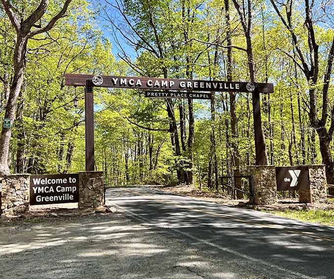 Every great journey starts with a gate, and this one leads straight to something genuinely unforgettable.