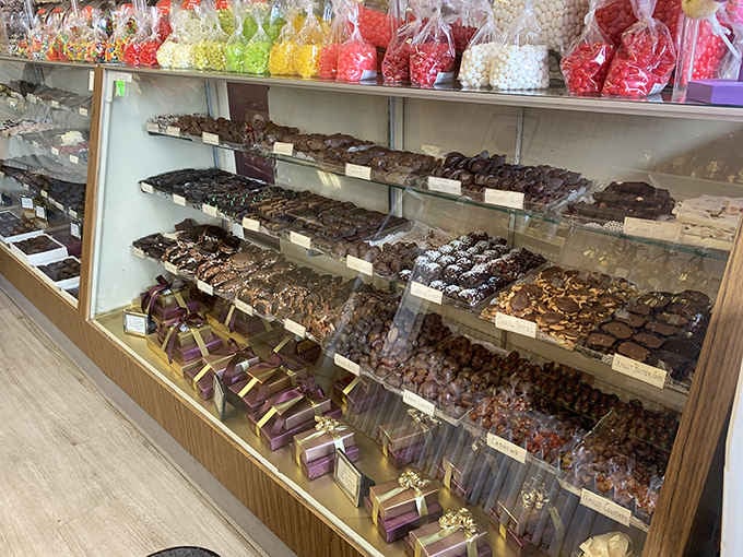 Rows of handcrafted chocolates lined up like edible soldiers, ready to surrender to your taste buds.