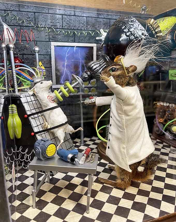 A squirrel in a lab coat conducting experiments on a mouse. Science has never looked this entertaining.