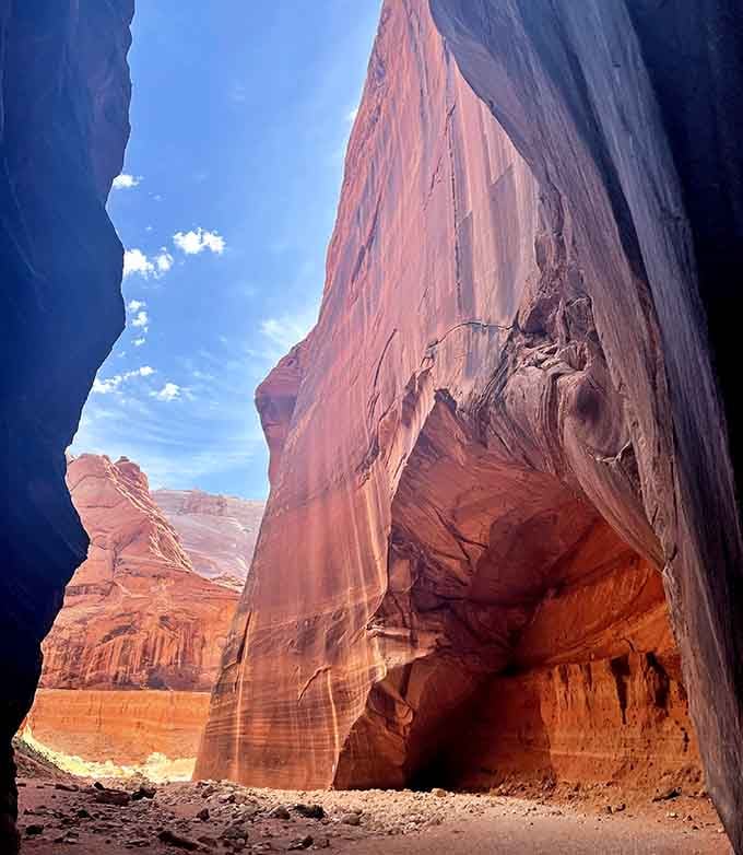 Soaring sandstone walls catch the light like a cathedral built by 190 million years of patience.