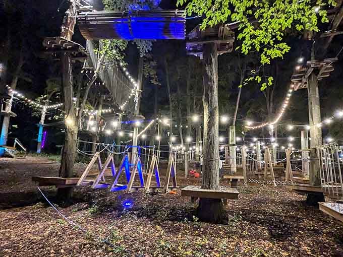 After dark, TreeTrails Adventures transforms into something magical, string lights, blue glow, and pure atmosphere.