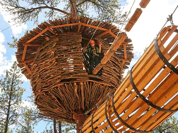 That's not a movie set. That's a real wooden nest structure you can actually stand inside, in Bailey, Colorado.