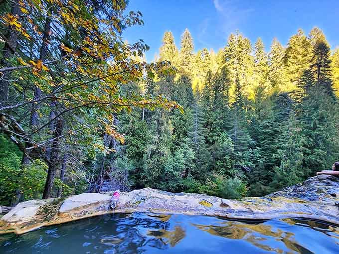 Sunlight filters through old-growth firs above the pools like nature's own spotlight.