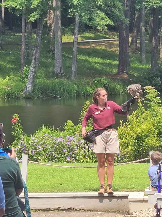 When a naturalist holds a live owl on her gloved hand, every single person in the crowd goes completely silent.