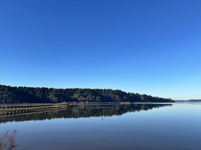 When the water goes glassy calm, the whole refuge looks like it was painted by someone showing off.