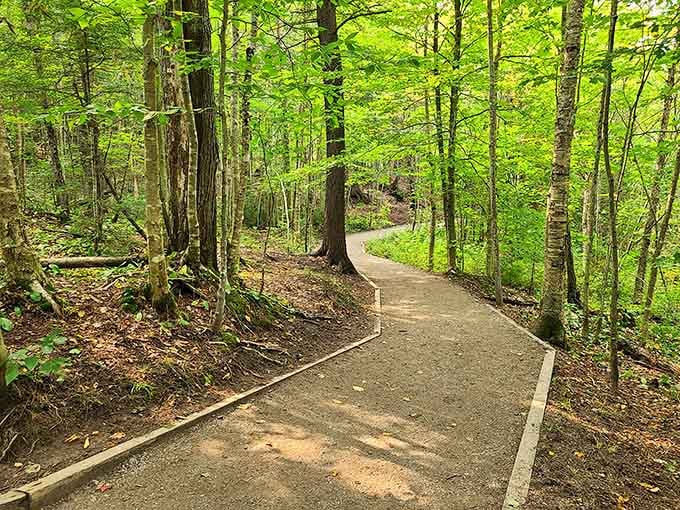 This gentle, winding trail through the forest is basically nature's version of a welcome mat.
