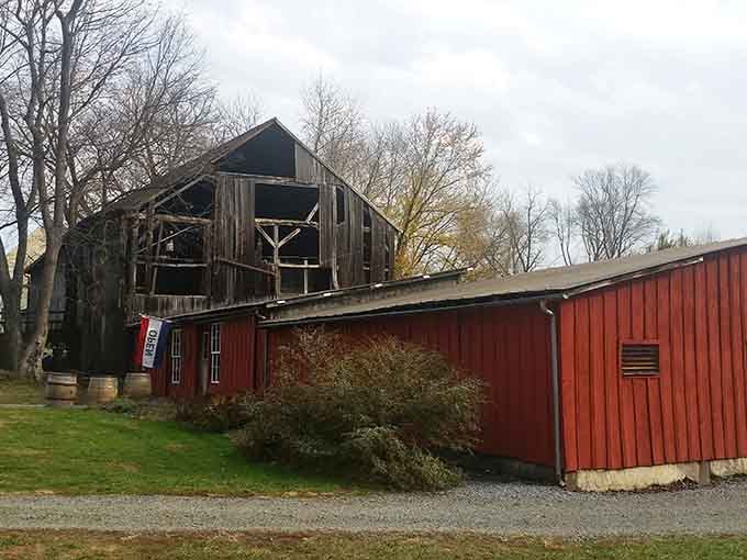 Old wood, old barrels, old charm. This village winery looks like history decided to stay for a glass.