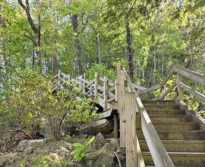 These sturdy wooden stairs are your golden ticket, and the reward waiting below is absolutely worth every step.