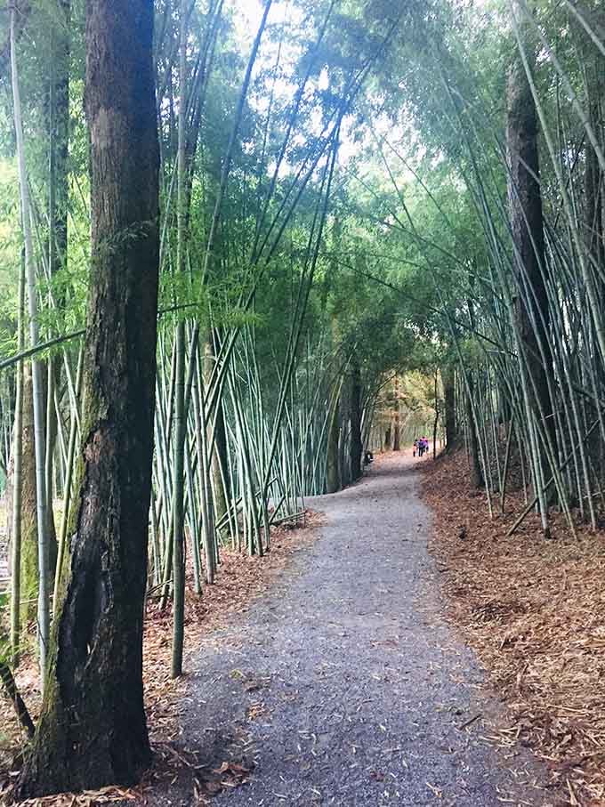 This gravel path through green bamboo corridors is the Alabama road trip nobody told you to take.