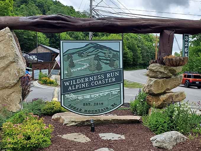 Welcome to North Carolina's first alpine coaster, where "wilderness run" is both promise and warning.