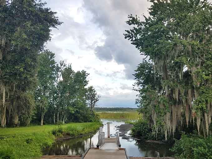Spanish moss, still water, and absolute silence. Nature's version of a deep, satisfied exhale.