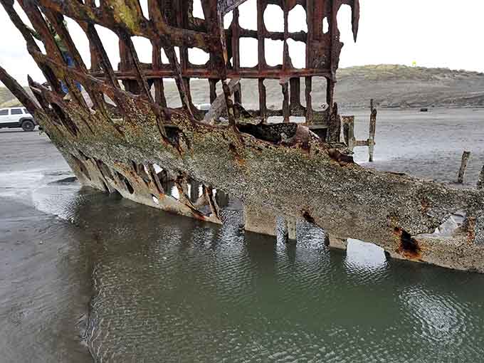 The Peter Iredale's corroded hull stretches along the waterline like a dinosaur spine slowly returning to earth.