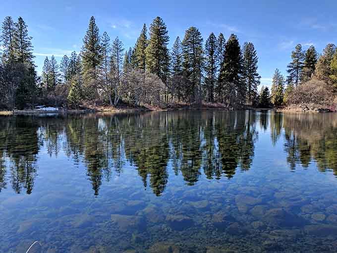 Crystal-clear water reflecting pine trees like a mirror makes you wonder if you're seeing double.